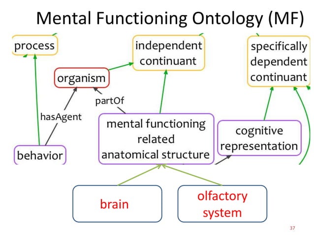 Mental functioning ontology and the International Classification of Functions and Disabilities ...