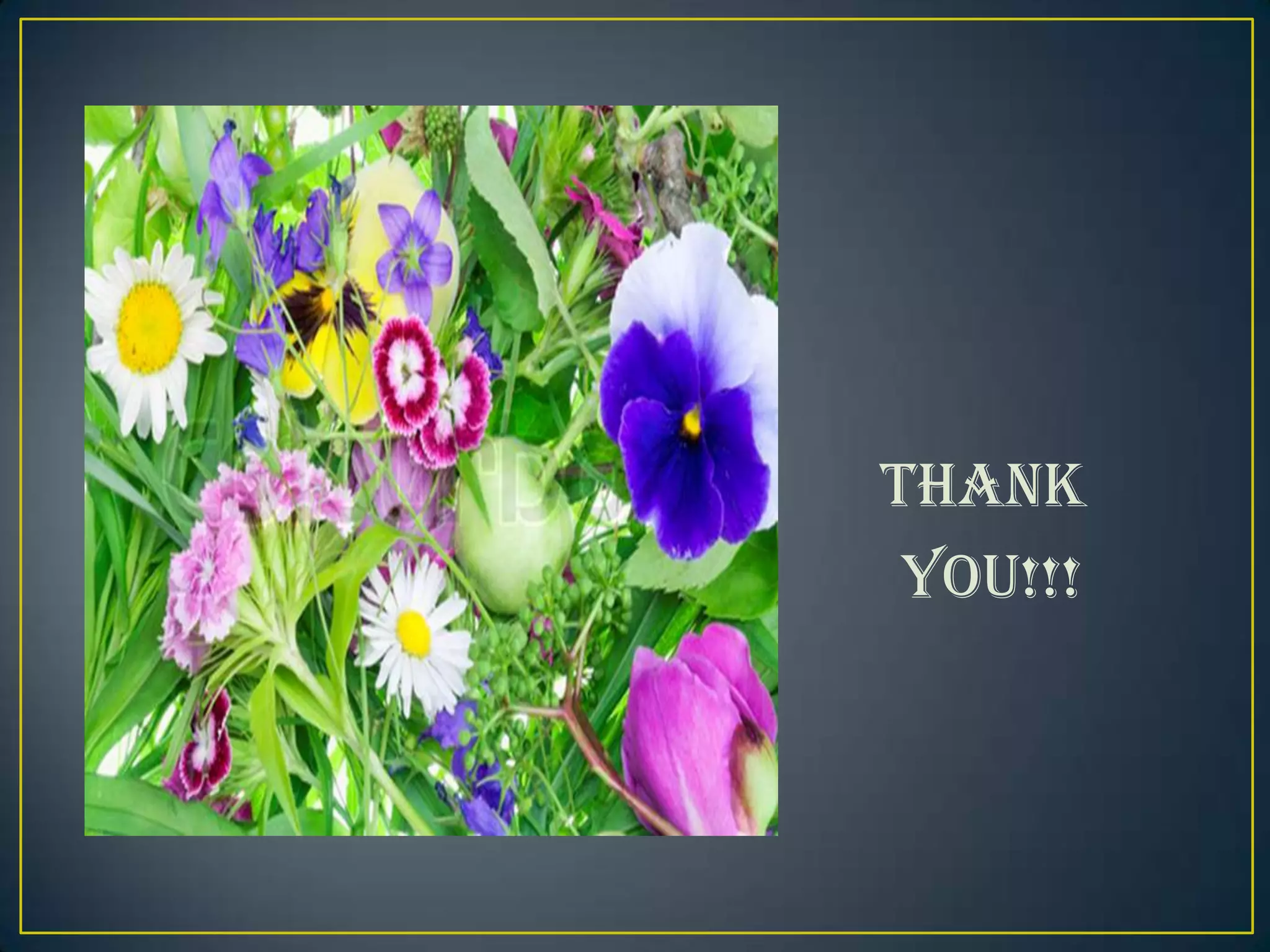 Mental grammar | PPTX