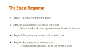 Mental health and stress | PPTX