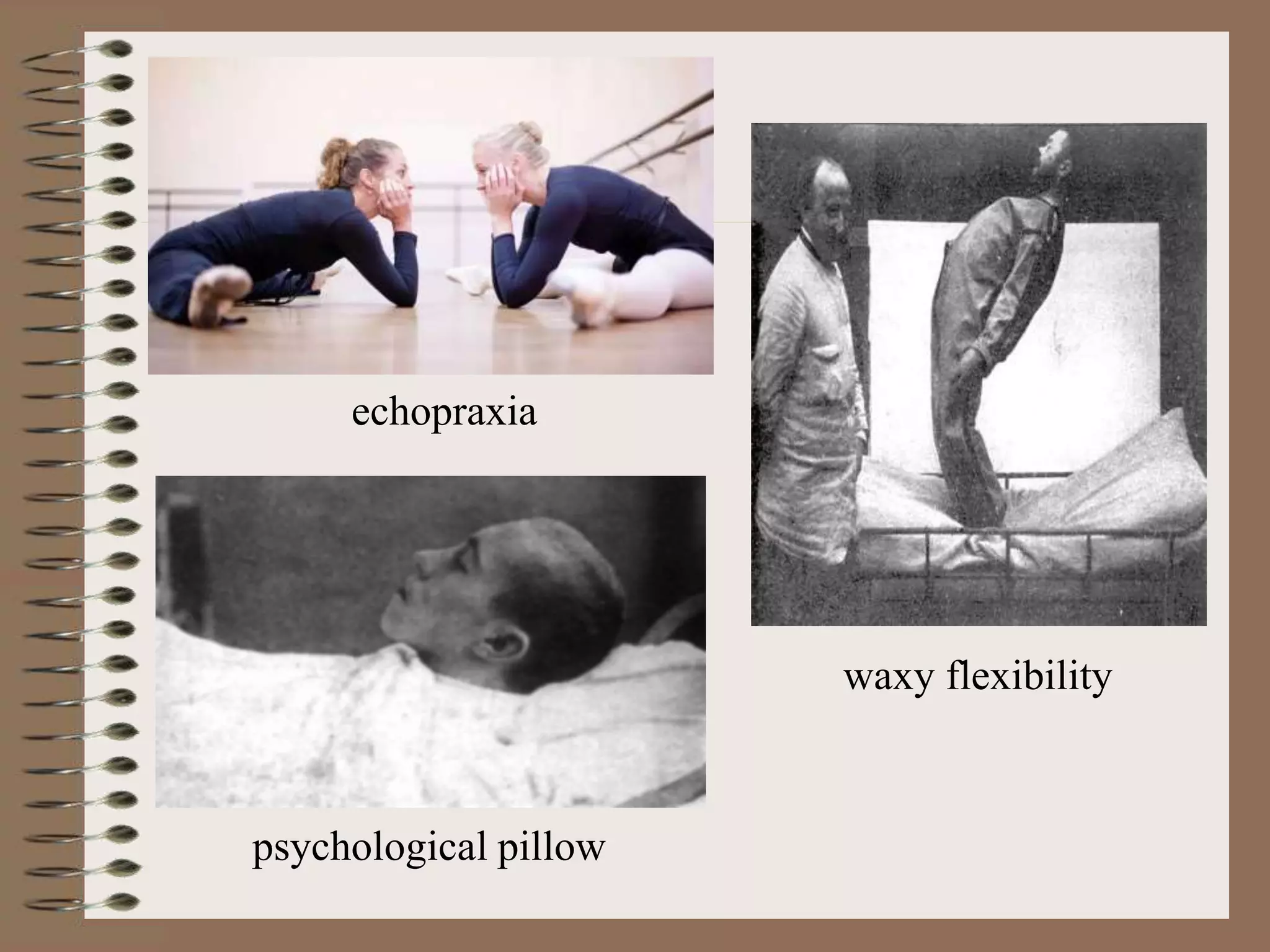 Mental health assessement | PPT