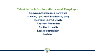 Mental Health HR Toolkit | PPTX