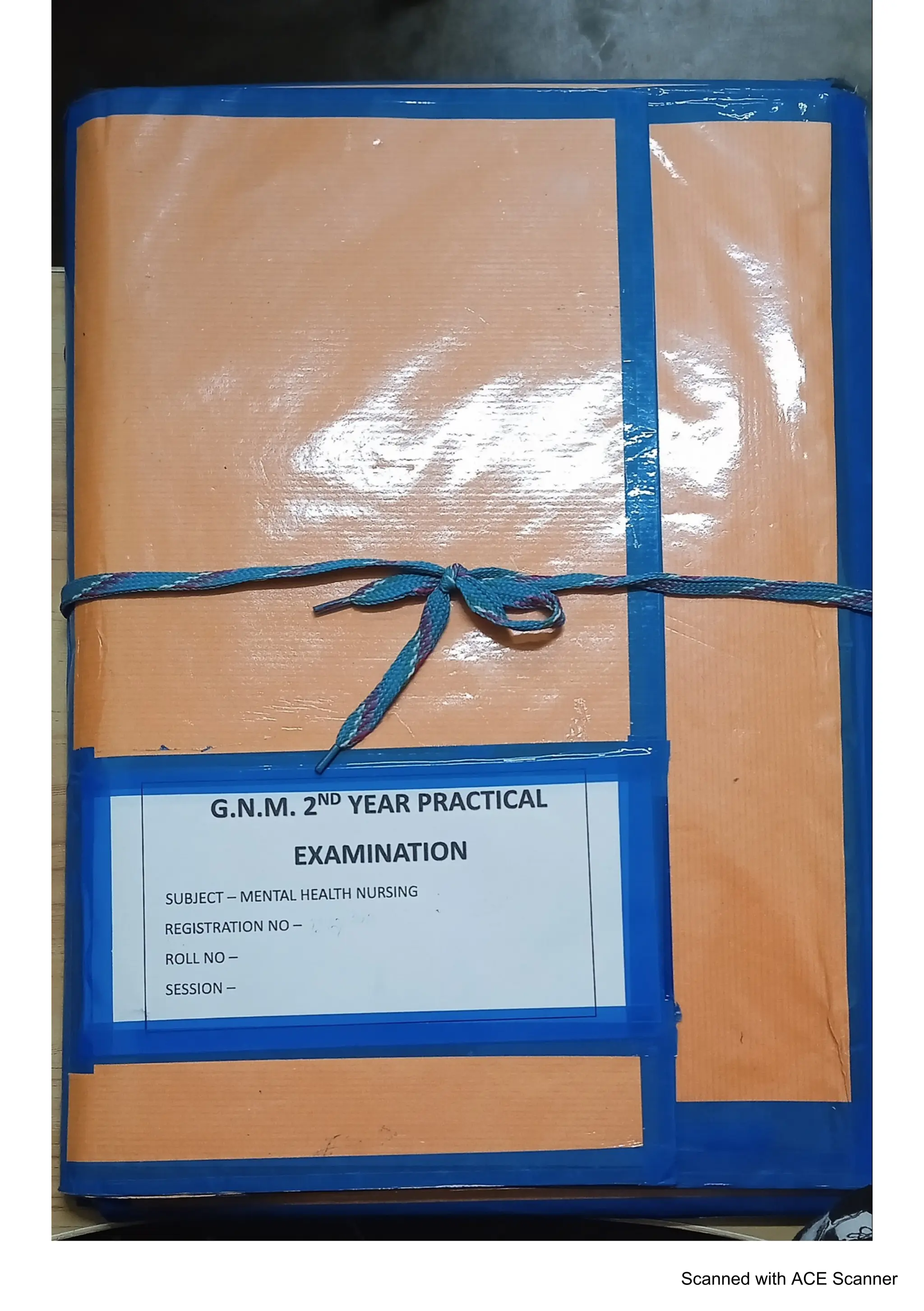 mental health nursing file.pdf