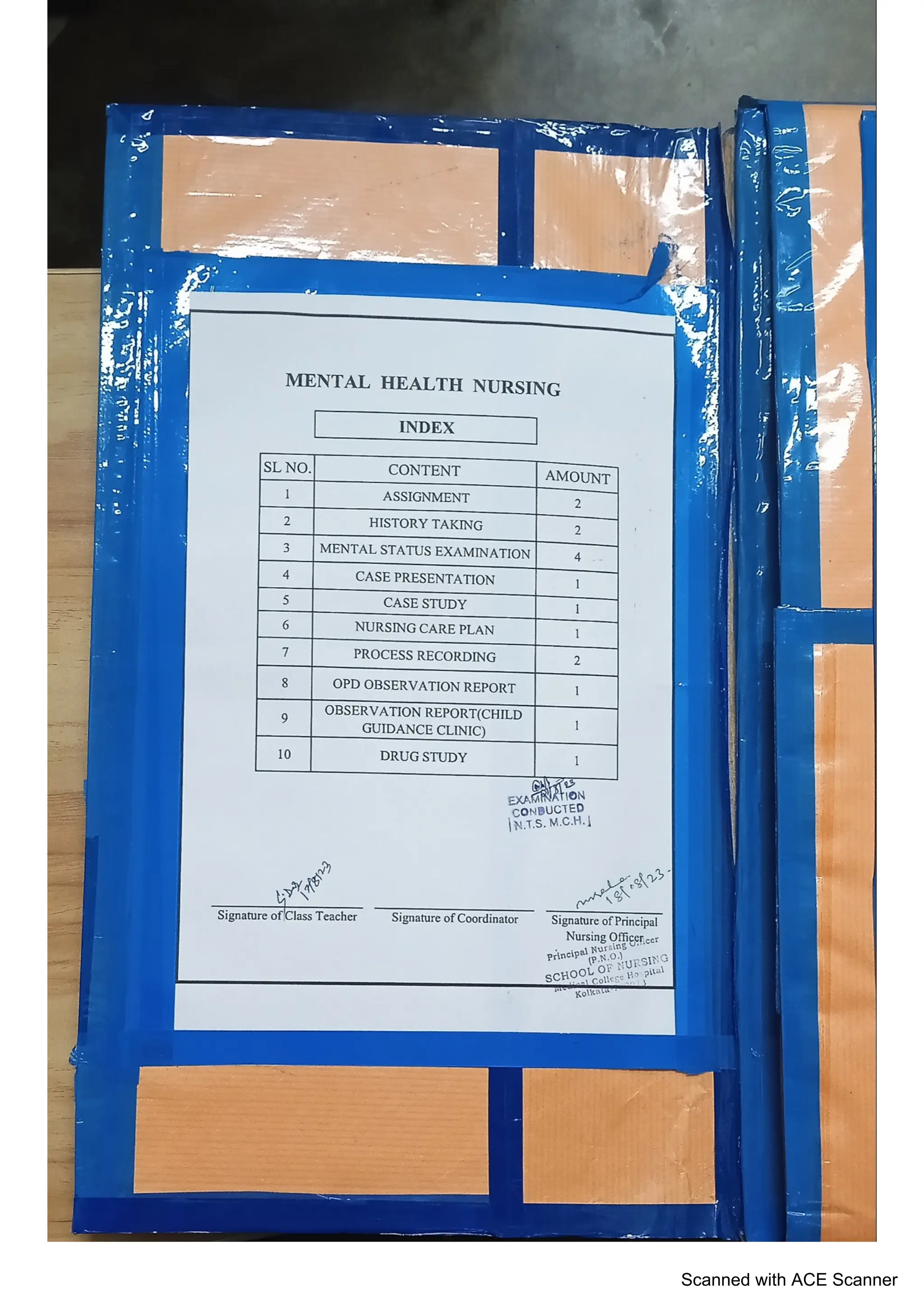 mental health nursing file.pdf