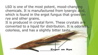 Mental Hygiene Report | PPT