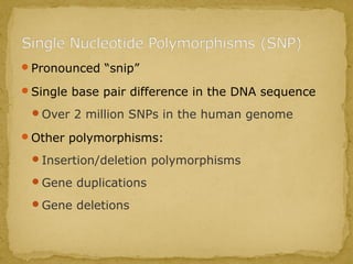 Mental illness and_genetics_presentation | PPT