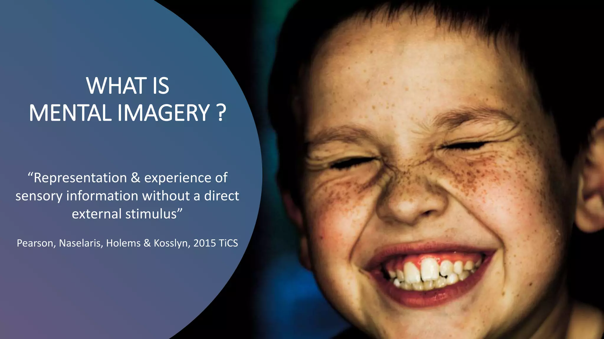 Mental imagery in cognitive psychology- maryam amir | PDF