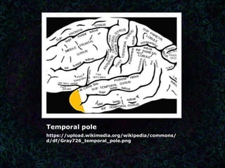 Mentalization (theory of mind) and autism | PPSX
