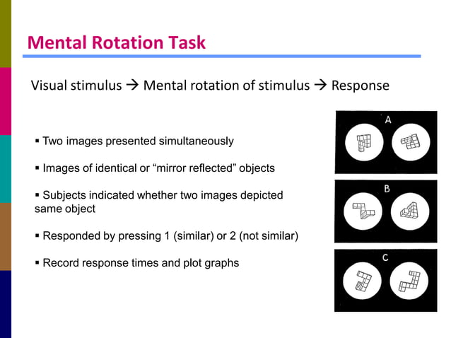 Mental rotation of 3D Objects | PPT