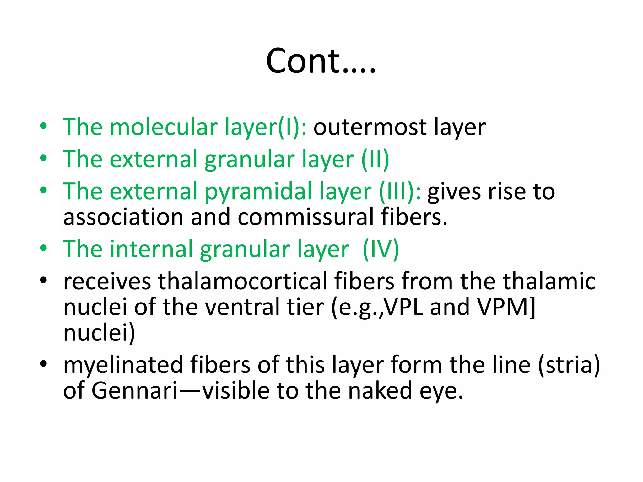 Mental Status Examination.pptx