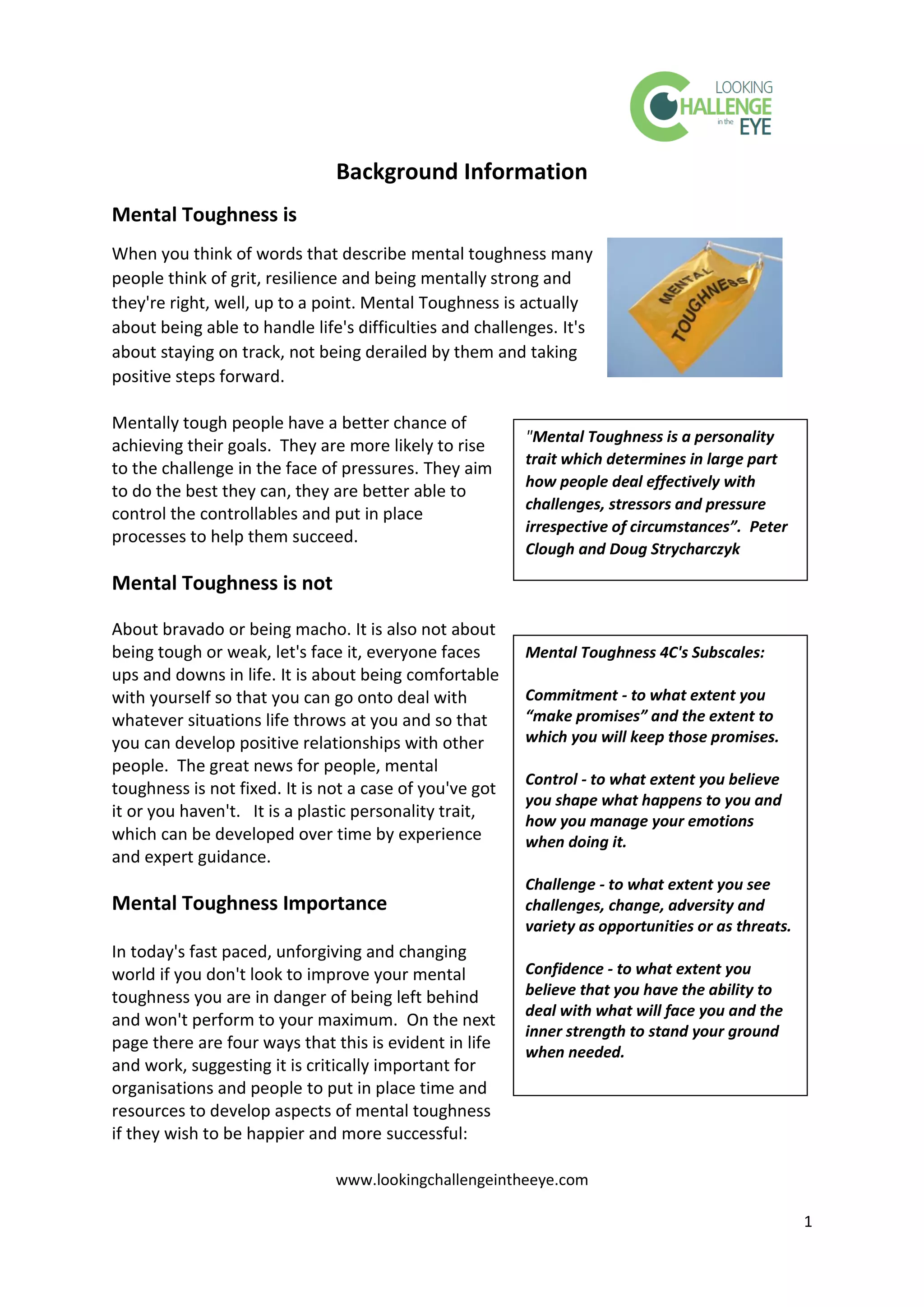 Mental Toughness Information | PDF