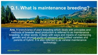 Mentannace breeding by Dhanendra Dhanuka | PPTX
