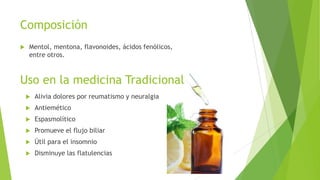 Menta planta medicinal | PPTX