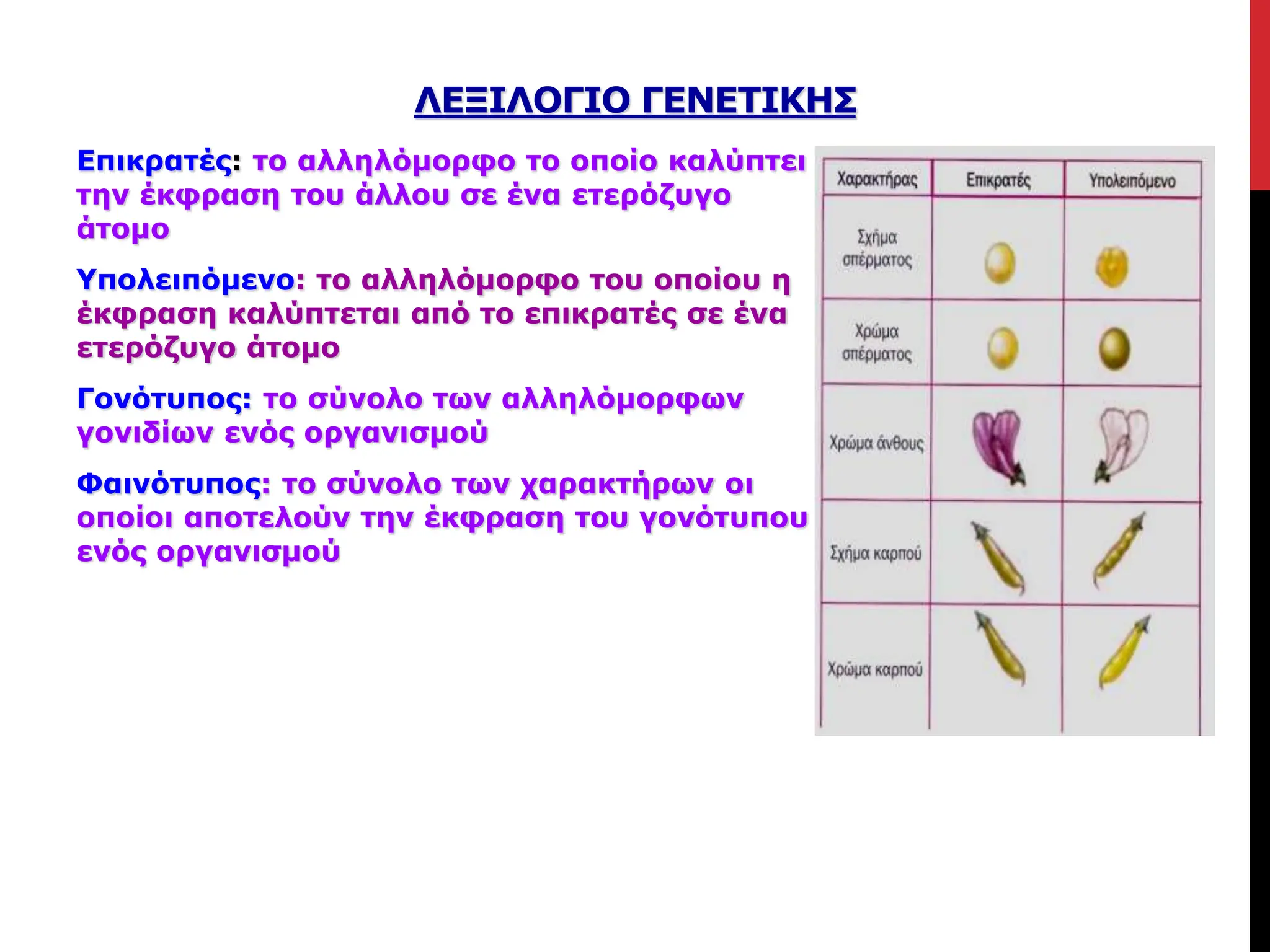 menteliki_klironomikotita.pptx
