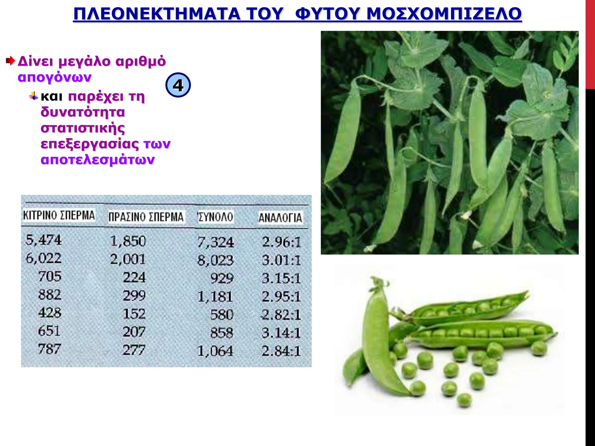 menteliki_klironomikotita.pptx