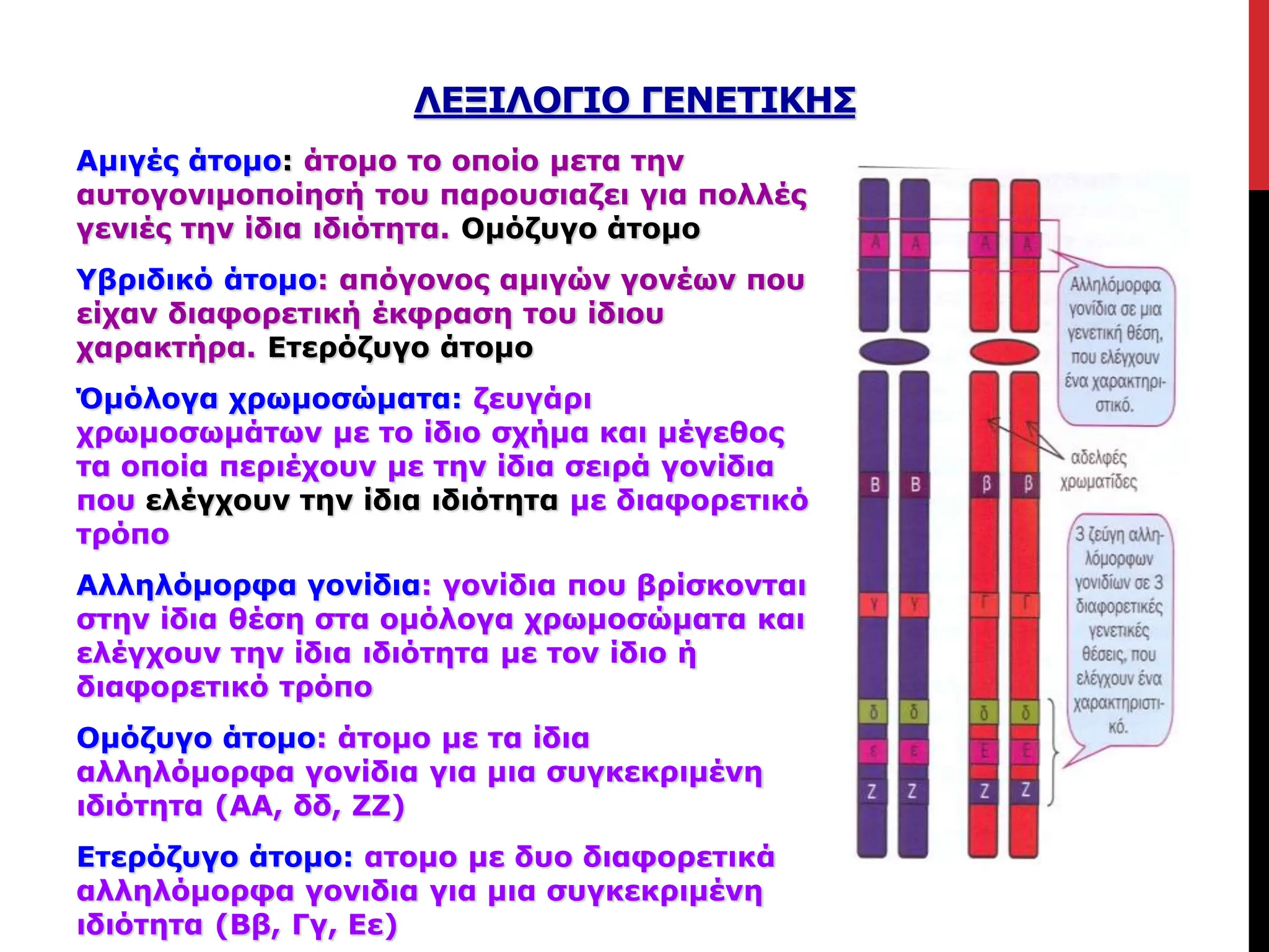menteliki_klironomikotita.pptx