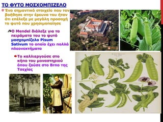 menteliki_klironomikotita.pptx