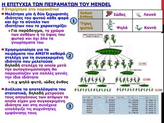 menteliki_klironomikotita.pptx
