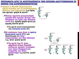 menteliki_klironomikotita.pptx