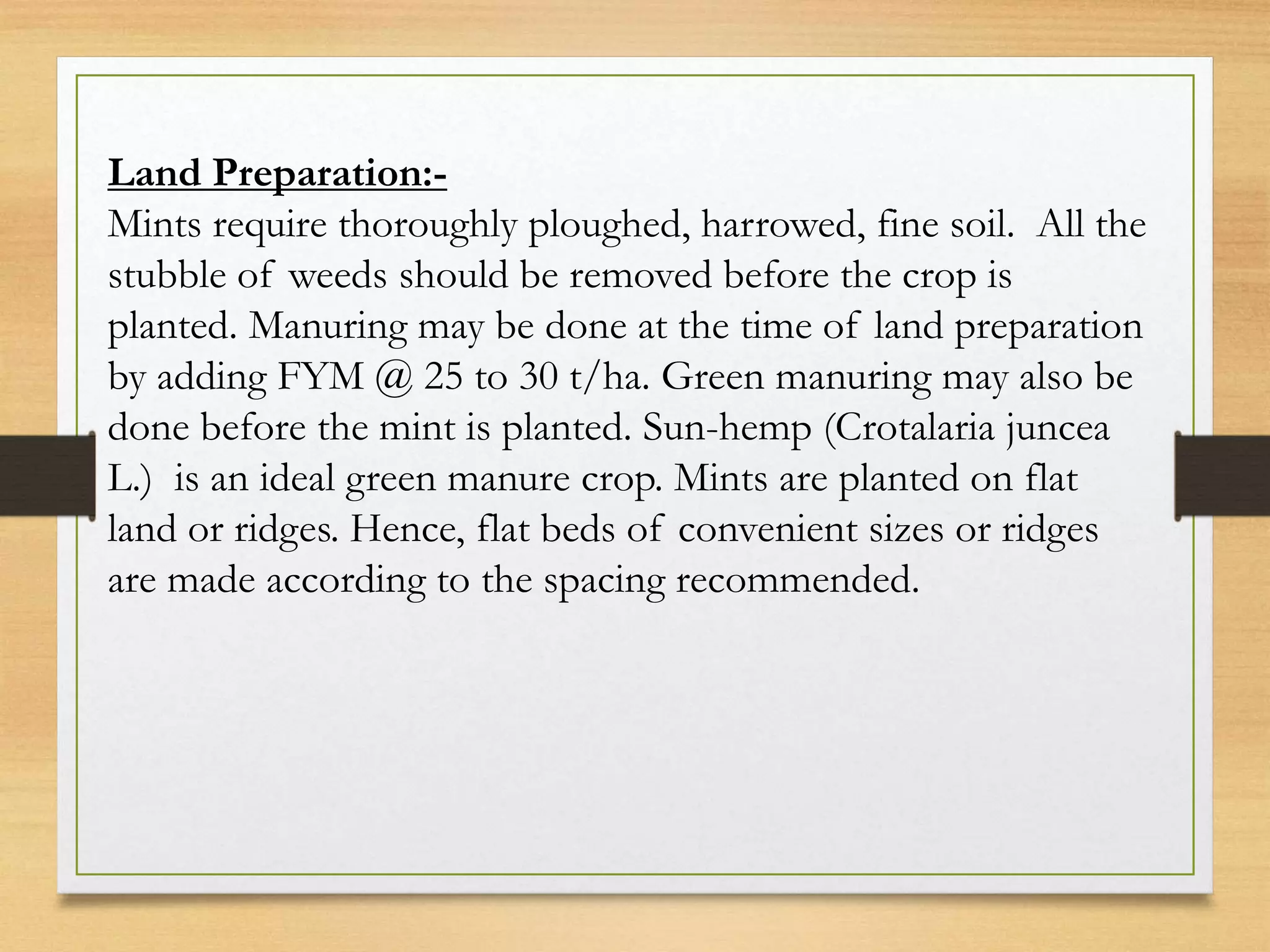 Production Technology of Mentha(Mentha arvensis) | PPTX