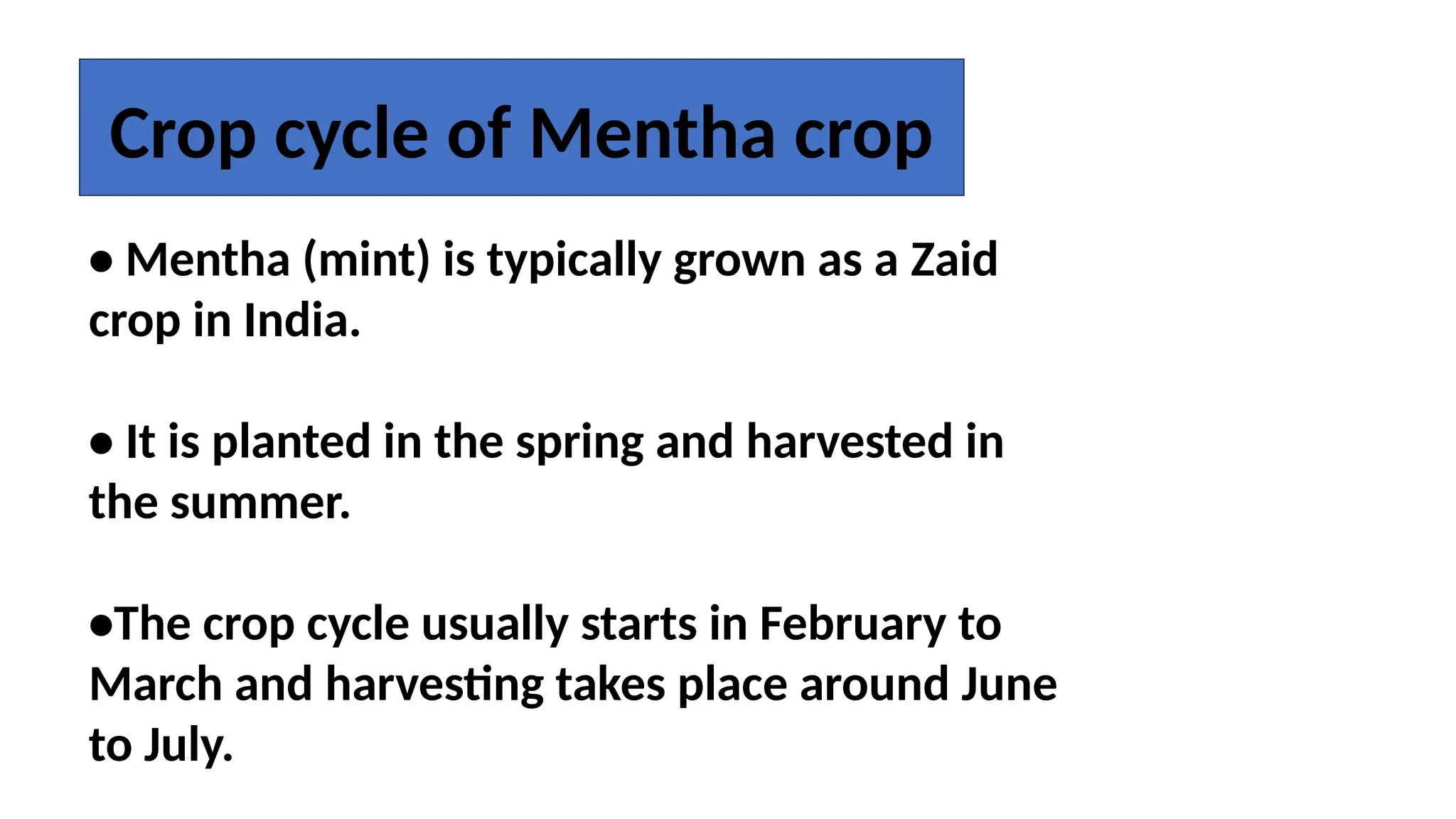Mentha cultivation by Arjun rajguru RLBCAU | PPTX