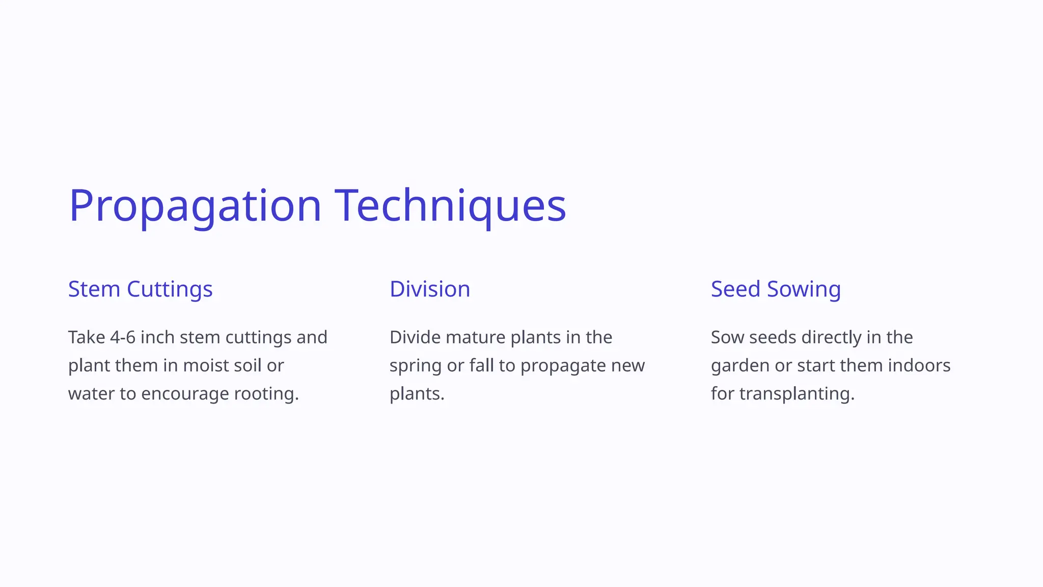 Mentha cultivation by Arjun rajguru RLBCAU | PPTX
