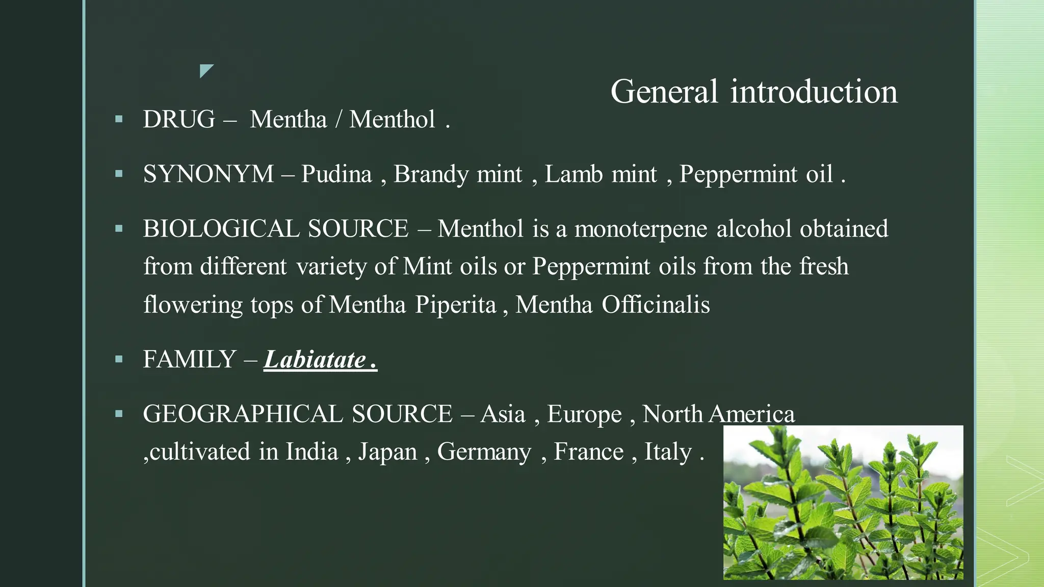MENTHOL CRUDE DRUG ( pharmacognosy) .... | PDF