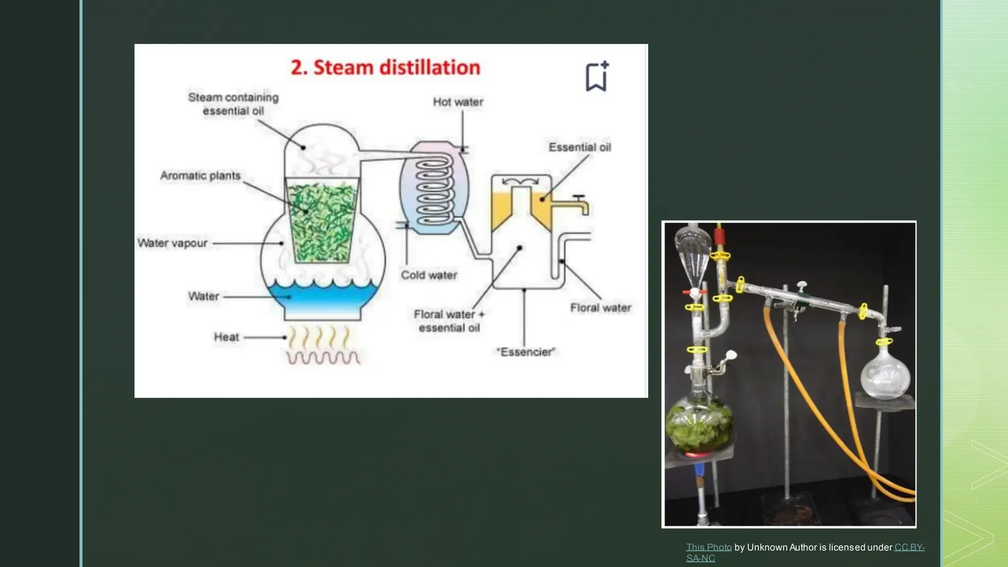 MENTHOL CRUDE DRUG ( pharmacognosy) .... | PDF