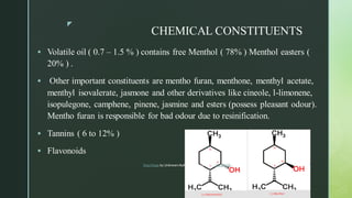 MENTHOL CRUDE DRUG ( pharmacognosy) .... | PDF