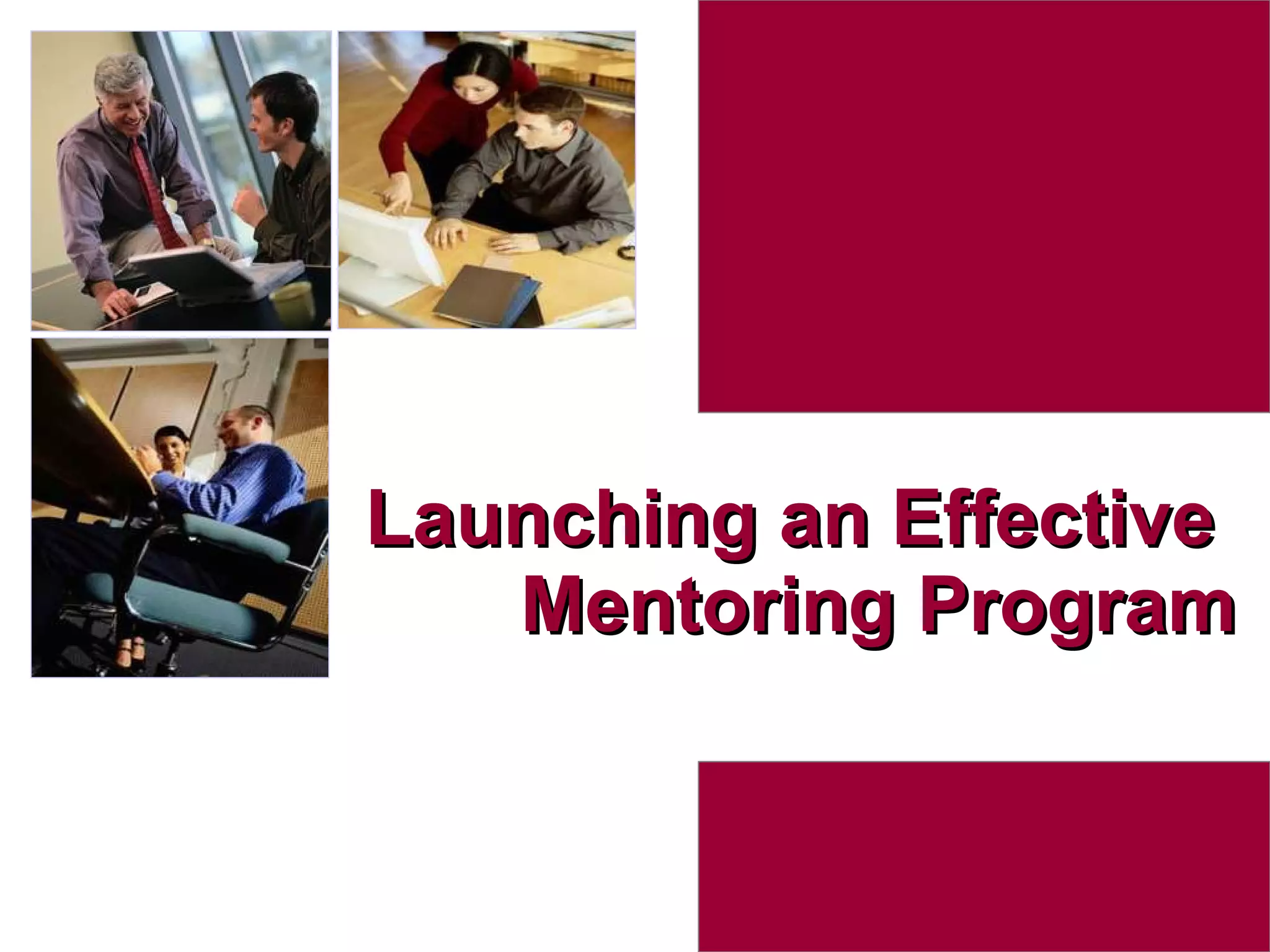 Launching an Effective Mentoring Program | PPT