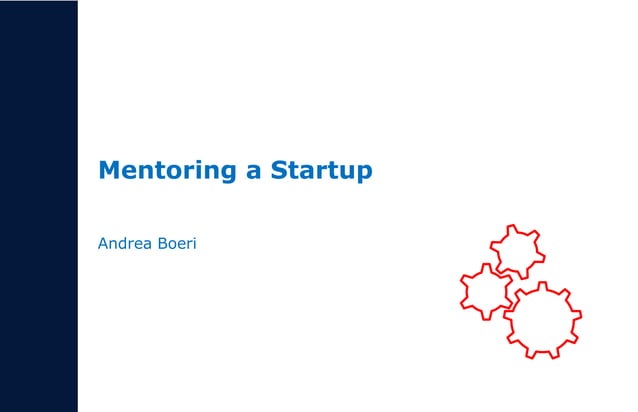 Mentoring a Startup | PDF