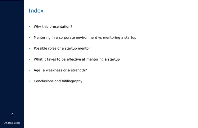 Mentoring a Startup | PDF