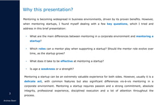 Mentoring a Startup | PDF