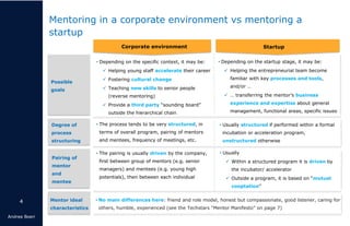 Mentoring a Startup | PDF