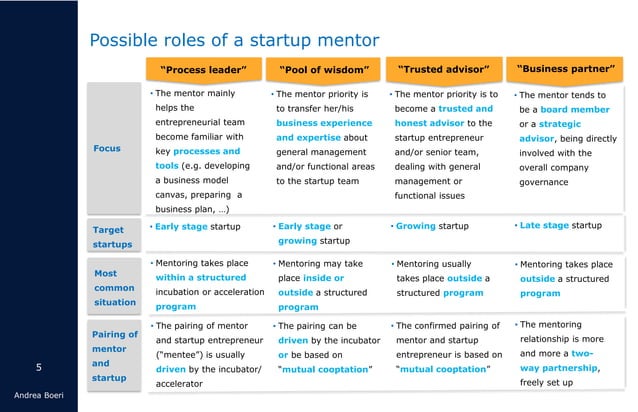 Mentoring a Startup | PDF