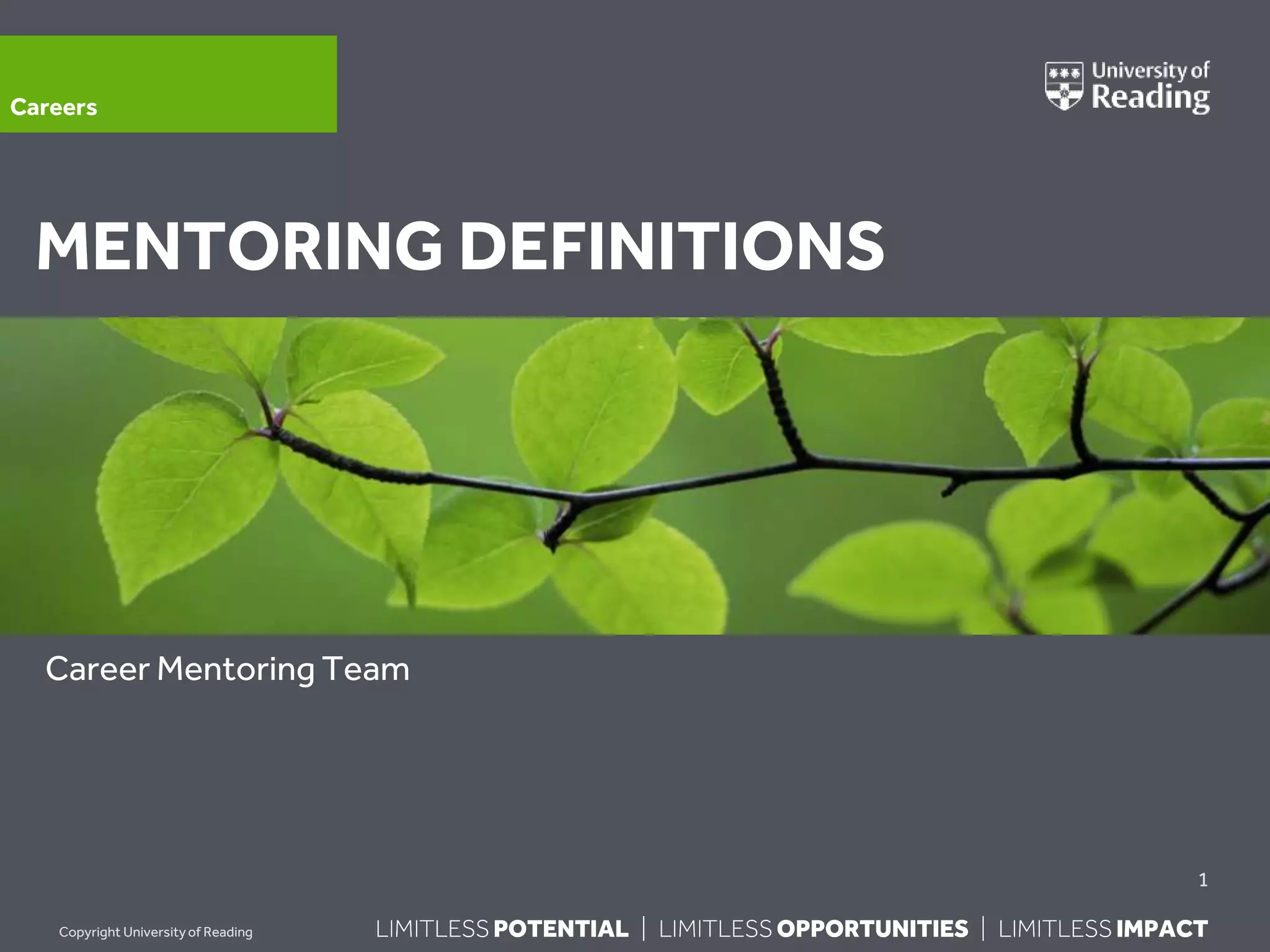 Mentoring definitions | PPTX