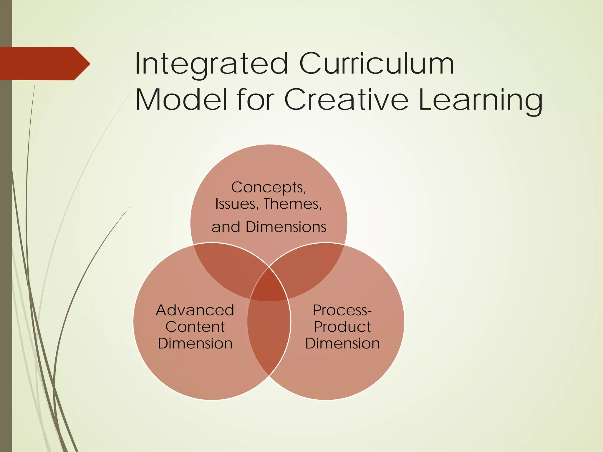 Integrated Experiential Mentoring | PDF