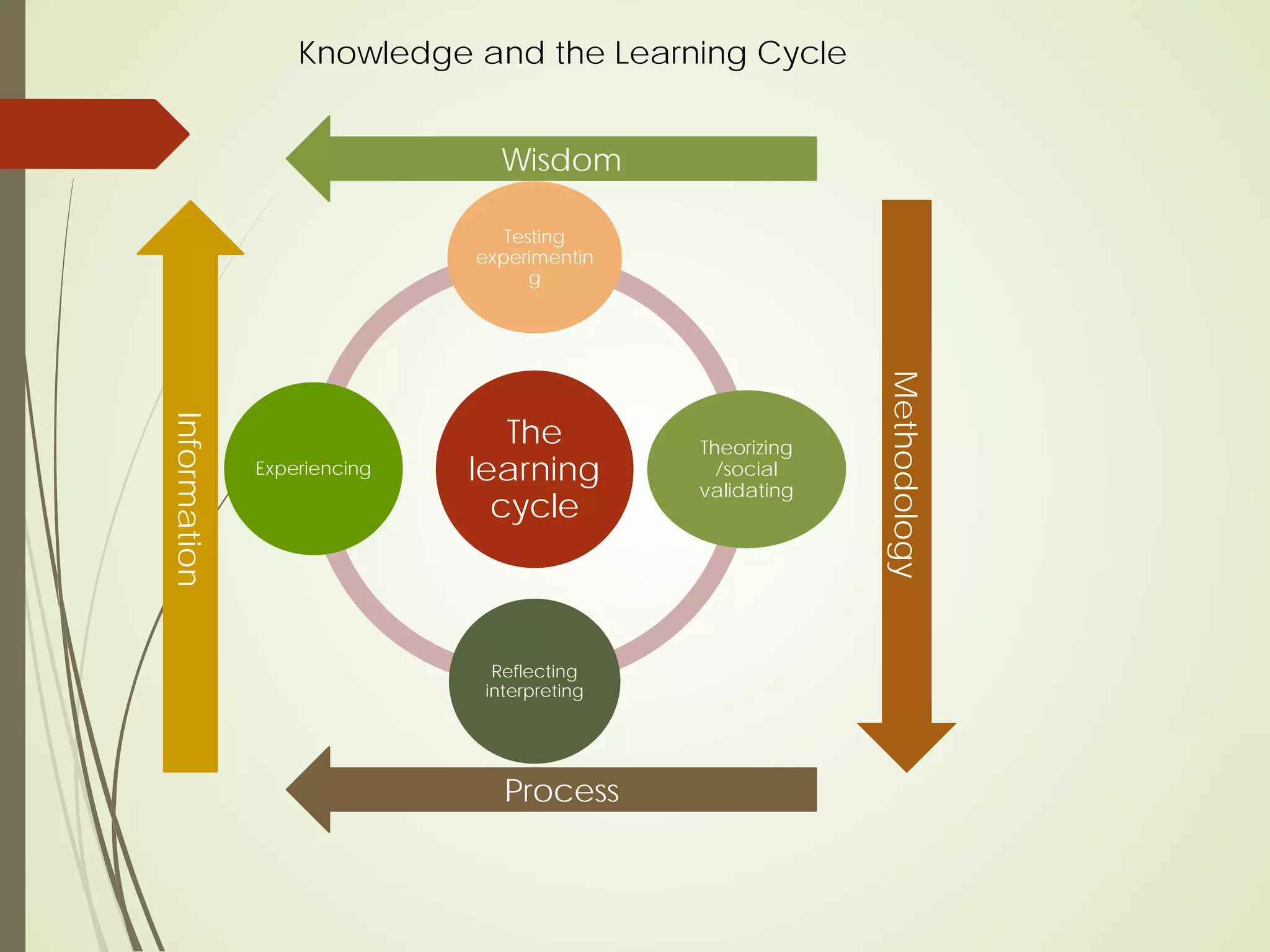 Integrated Experiential Mentoring | PDF