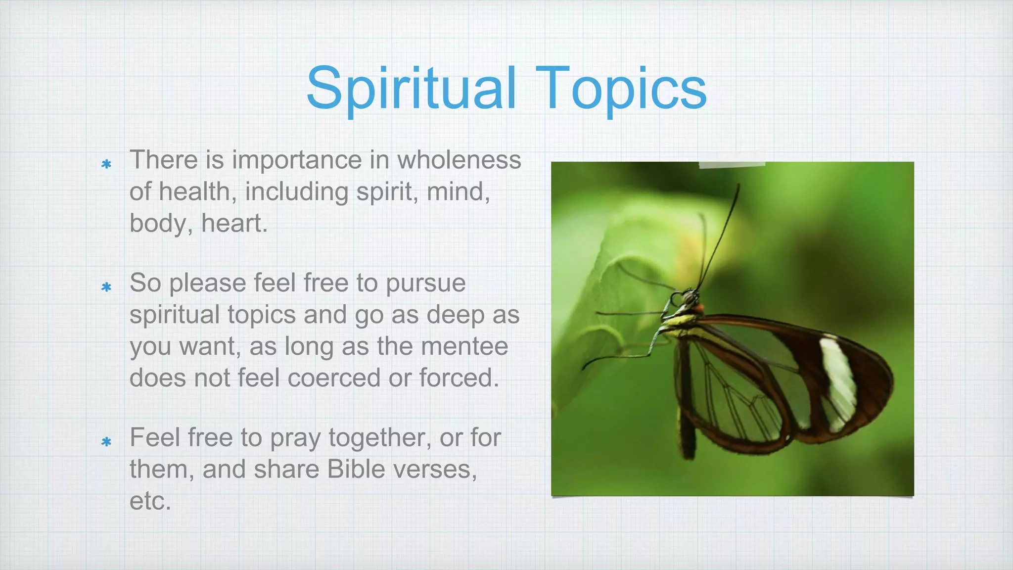 Christian Mentoring Program.pptx