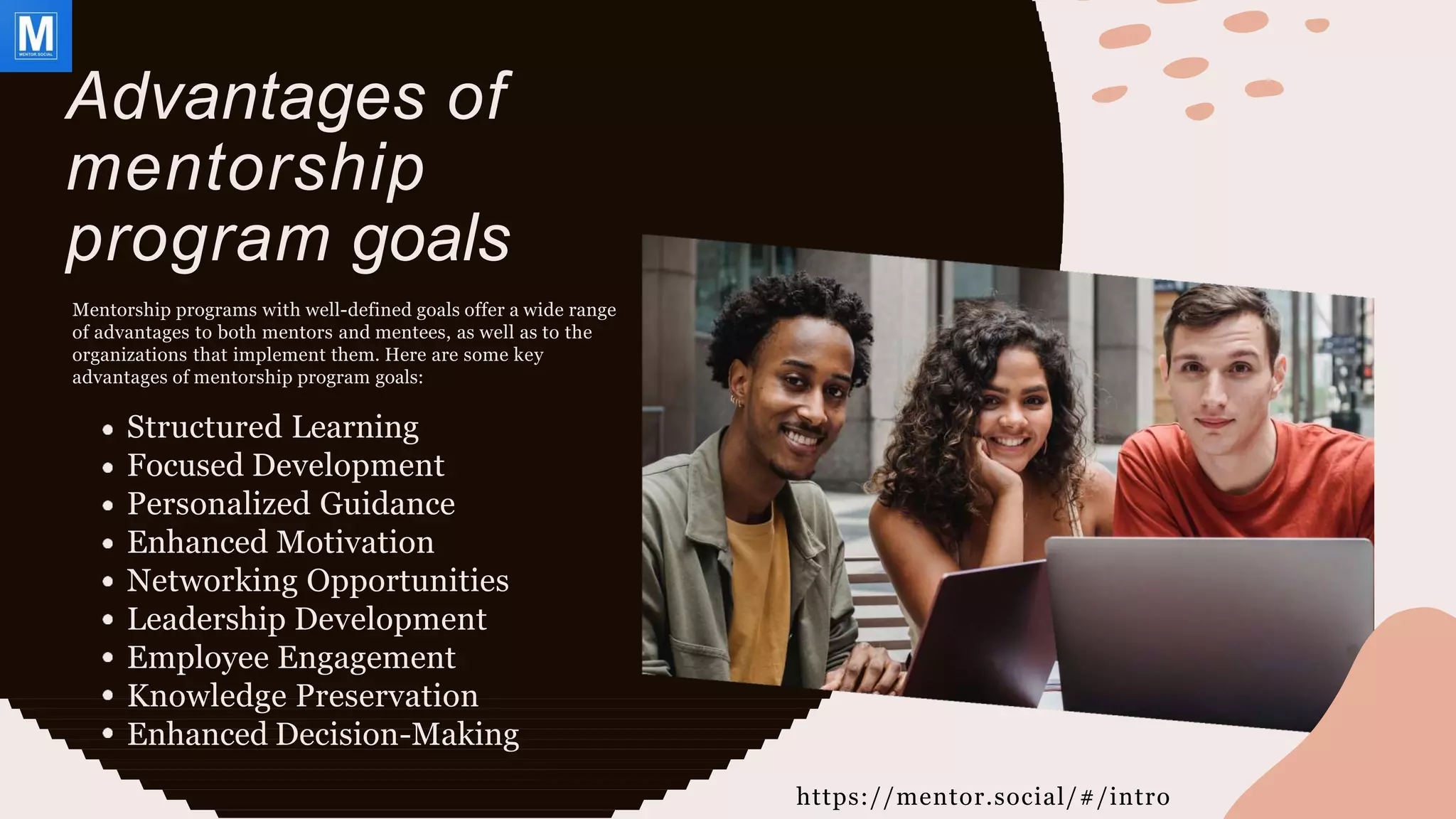 mentorship program goals.pptx