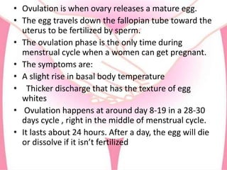MENSTRUAL CYCLE | PPTX