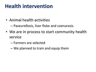 Achievement of the community based sheep breeding project in Menz area ...