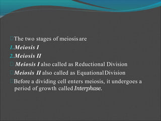 Cell division meosis- | PPTX