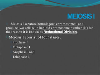 Cell division meosis- | PPTX