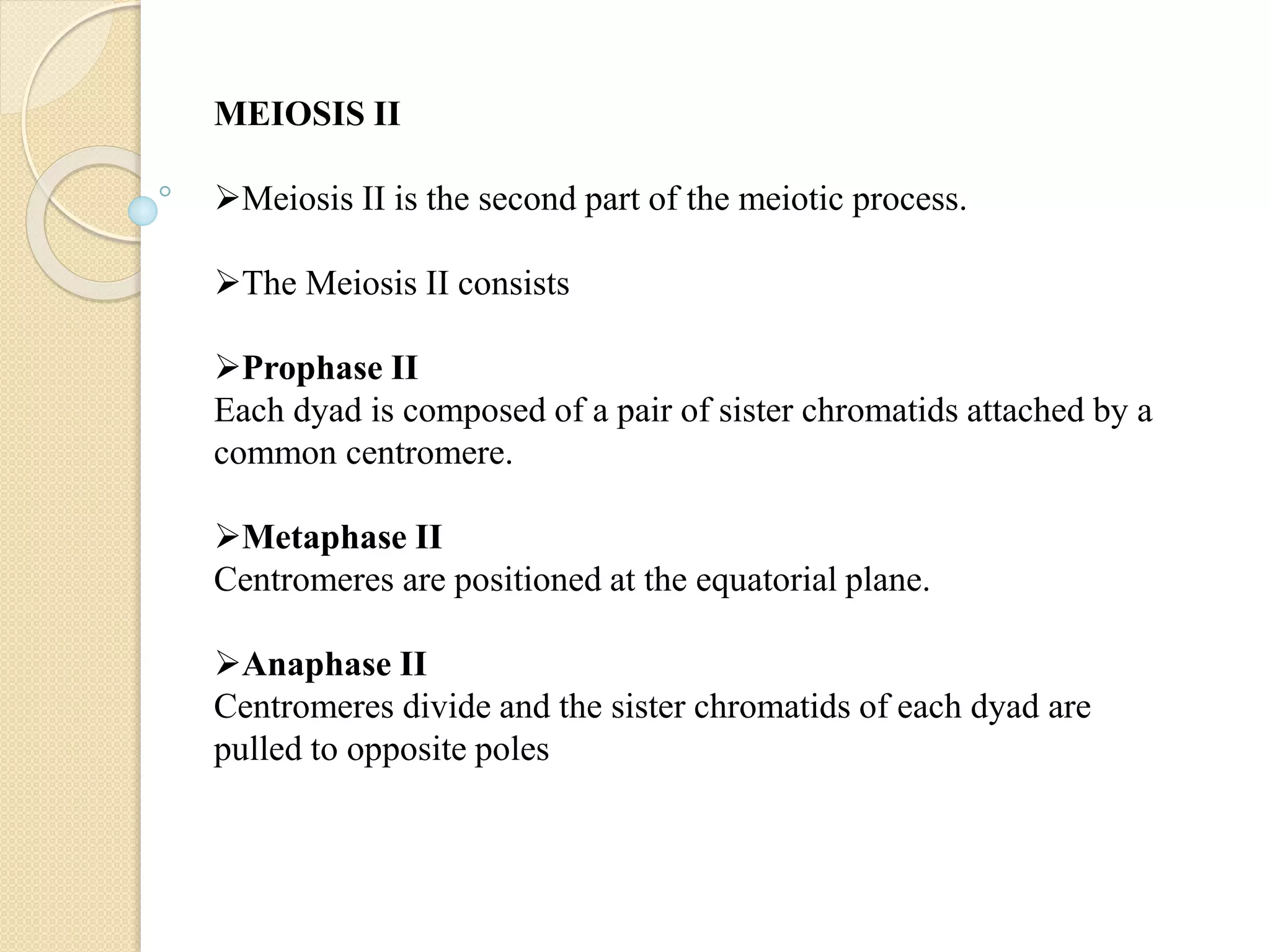 Meosis cell division | PPTX