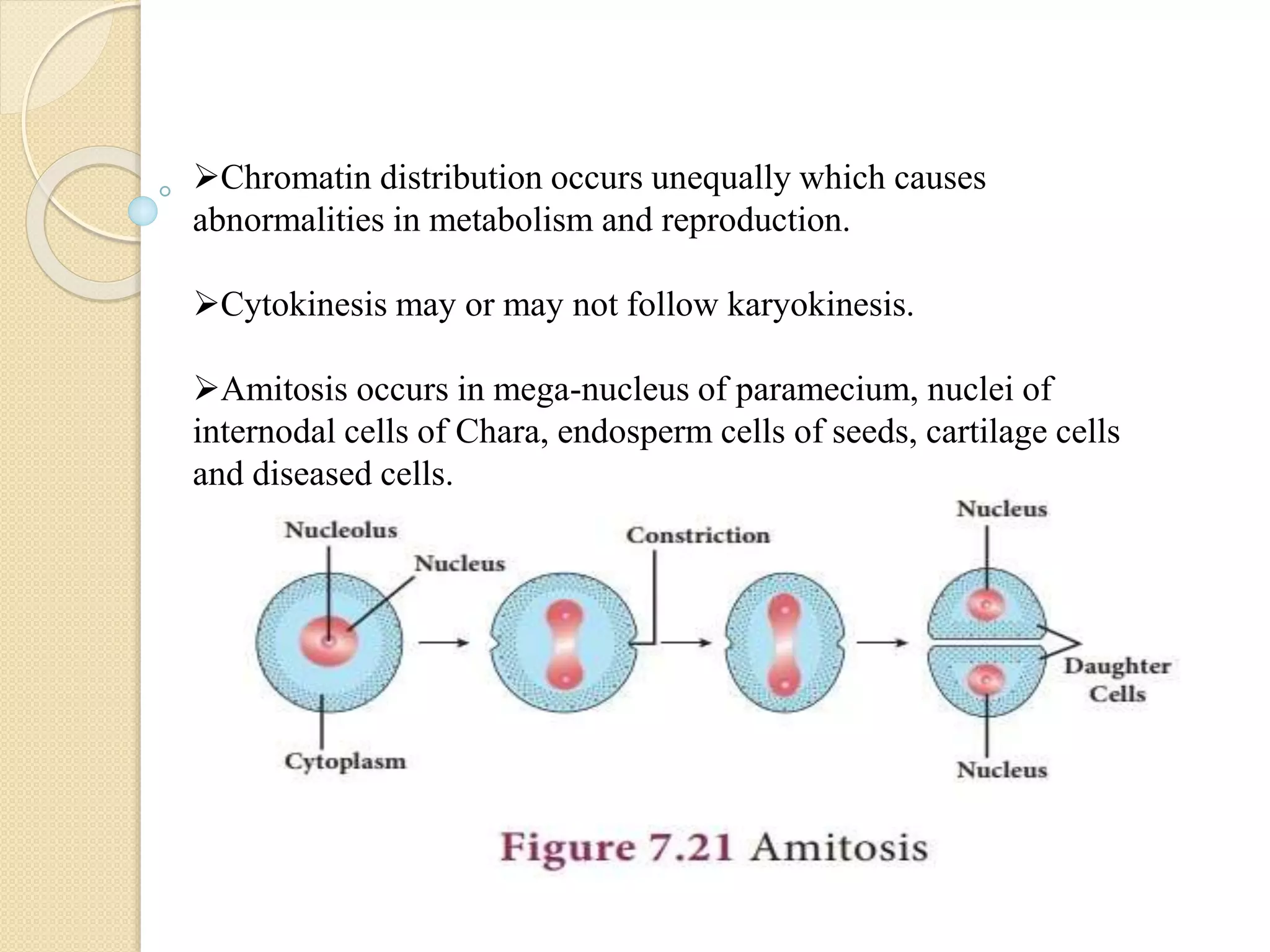 Meosis cell division | PPTX