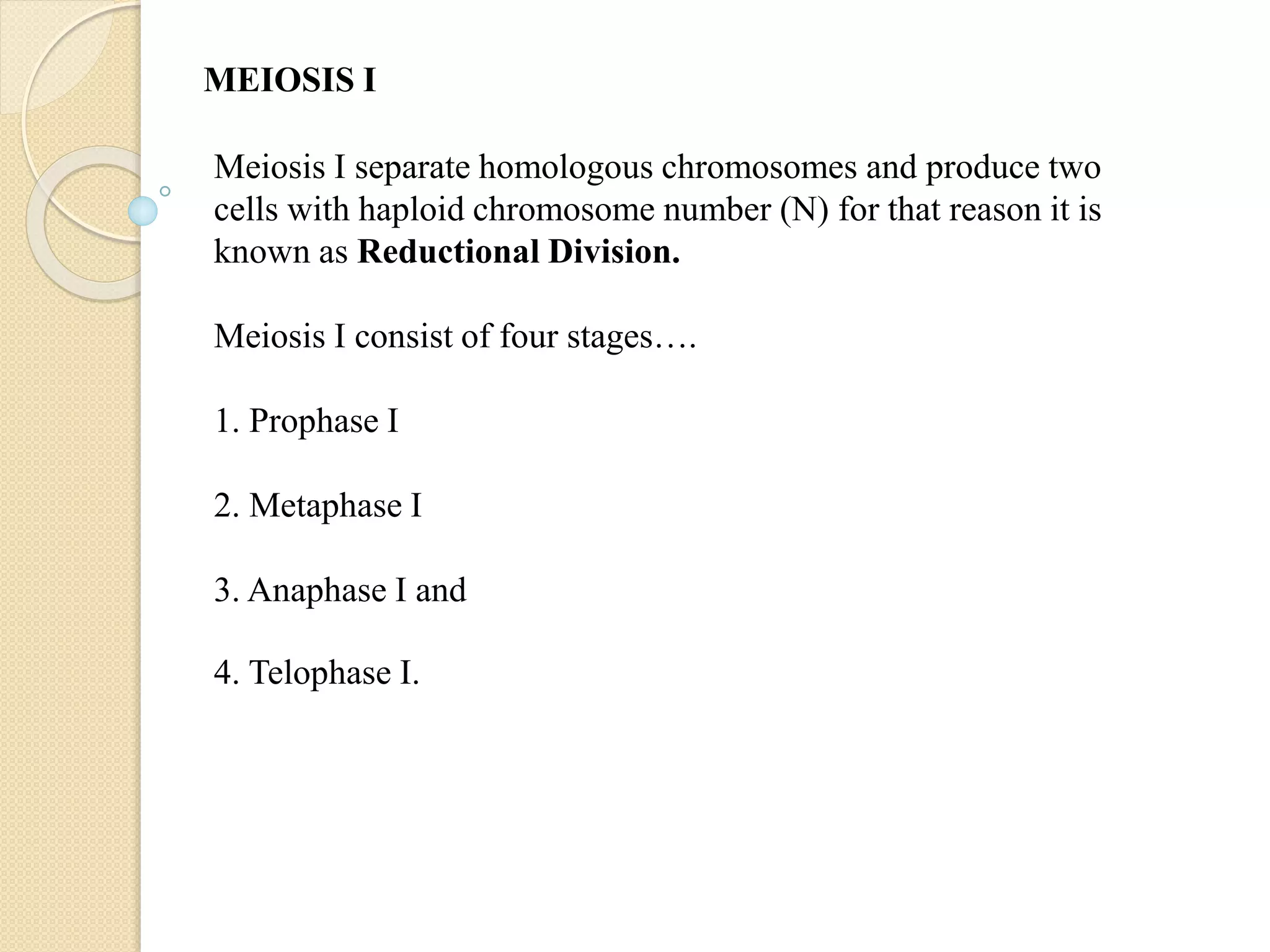 Meosis cell division | PPTX