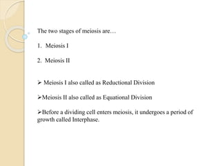 Meosis cell division | PPTX