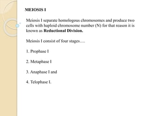 Meosis cell division | PPTX