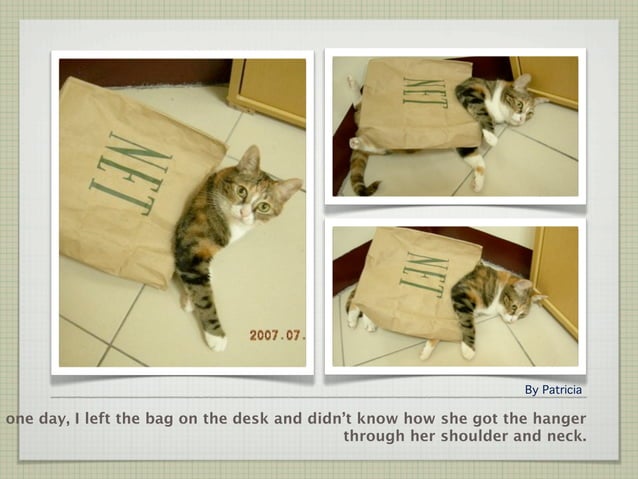 Meow-mi shops | PPT