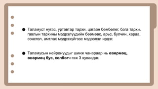 meOWYkLrAfdW.pptxghjjjkhgfyfddddfffggggggg | PPTX